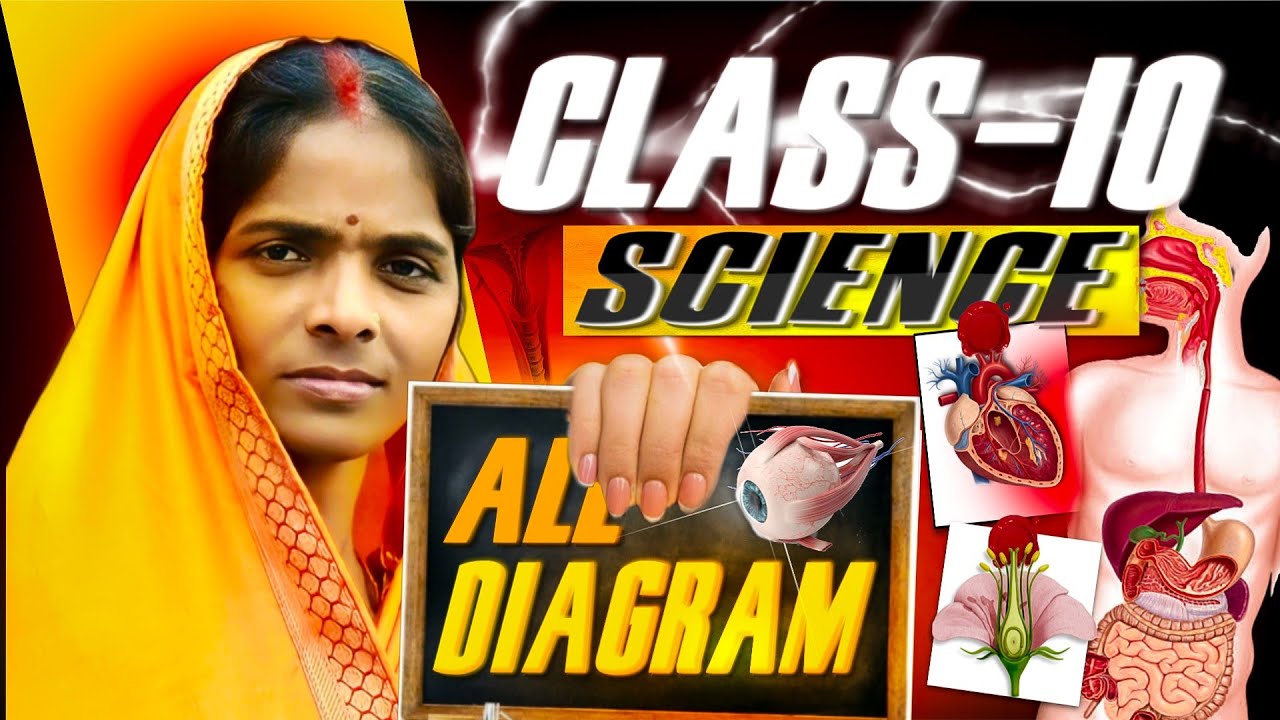 Class 10 Science Important Diagrams | UP Board 2025 में आने वाले 100% ...