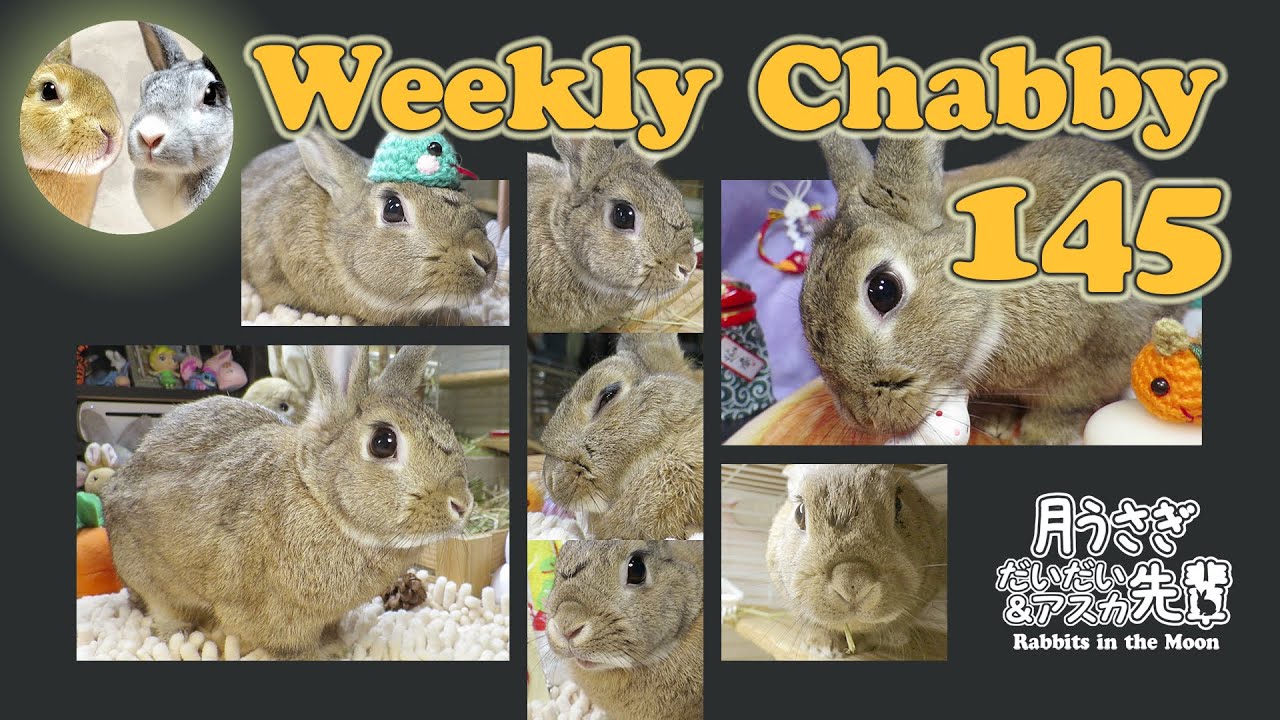 Weekly Chabby 145 - YouTube
