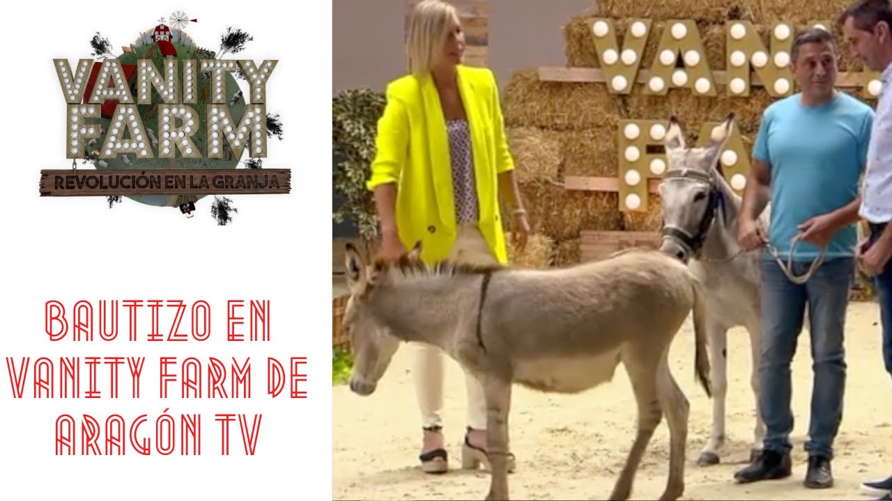 La bebé de la burra Candela ya tiene nombre. Descúbrelo en Vanity Farm ...