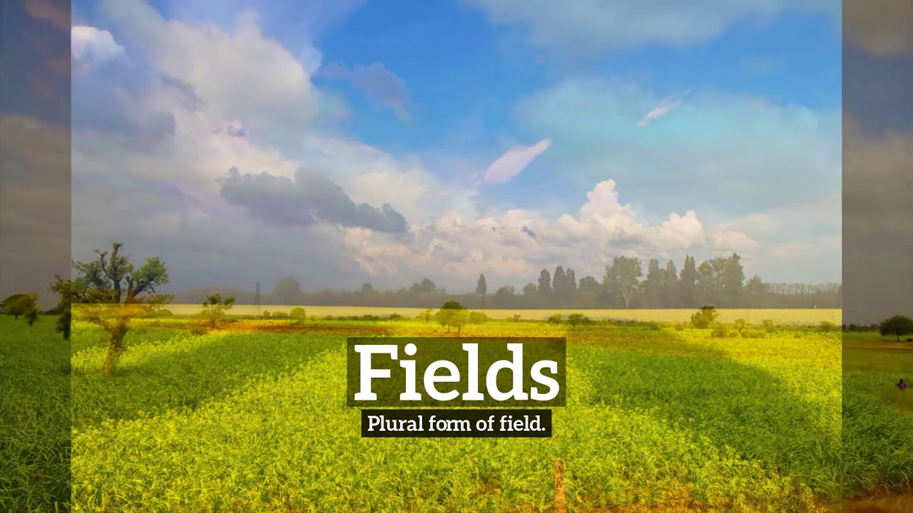 What is Fields? | How Does Fields Look? | How to Say Fields in English ...