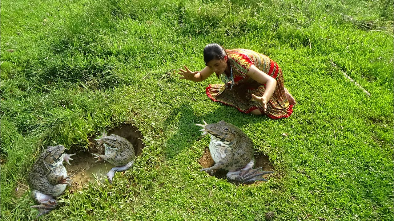 Survival Skills: Primitive Skills To Catch Frogs In The Mud Pit ...