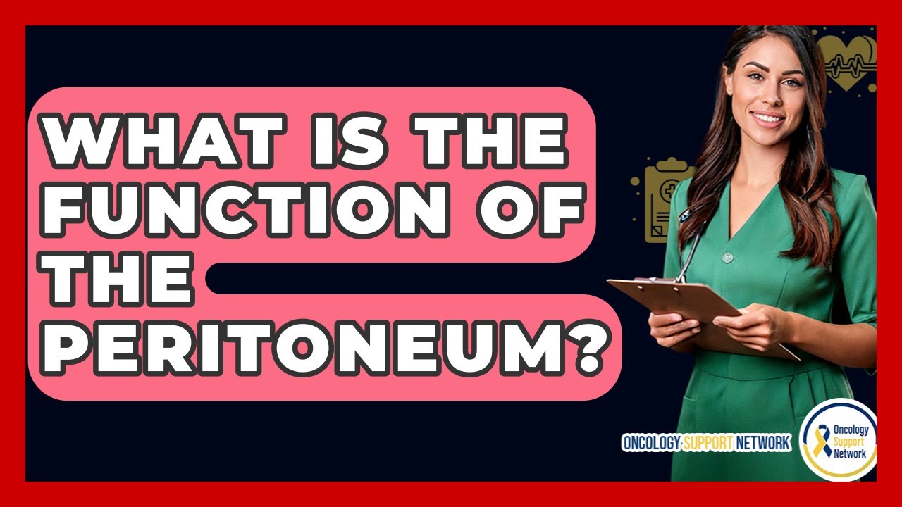 What Is The Function Of The Peritoneum? - Oncology Support Network ...