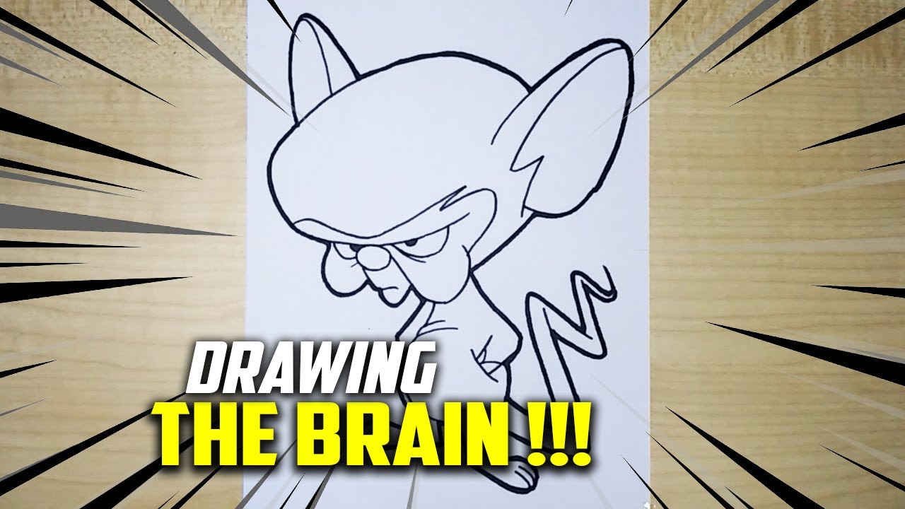 How to Draw THE BRAIN !!! | Pinky and The Brain | Cartoon Sketch for ...
