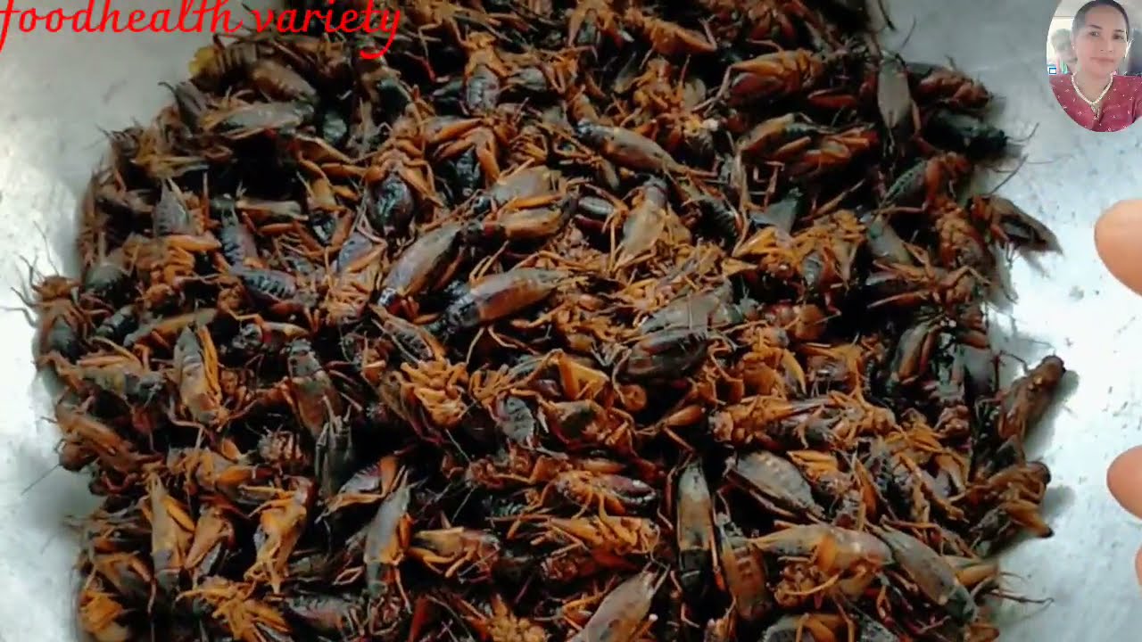 EP.105 Fried Crickets.thai food,easy cooking.thai Khana, crickets ...