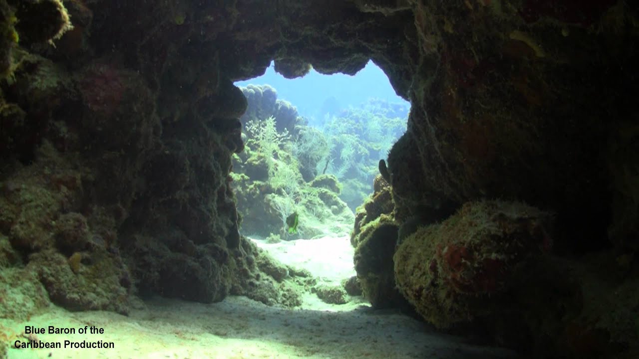 A cool swim through at the Cane Bay Wall - YouTube