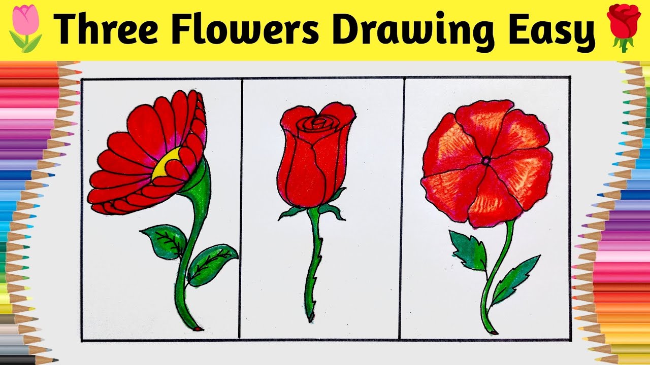 Flower Drawing | Three Flowers Drawing | Easy Flower Drawing | Flowers ...