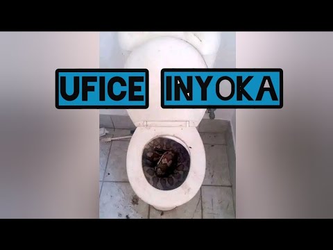 Uthukile inyoma imcabuza izinqa etoilet obezozikhulula💔🙆 - YouTube