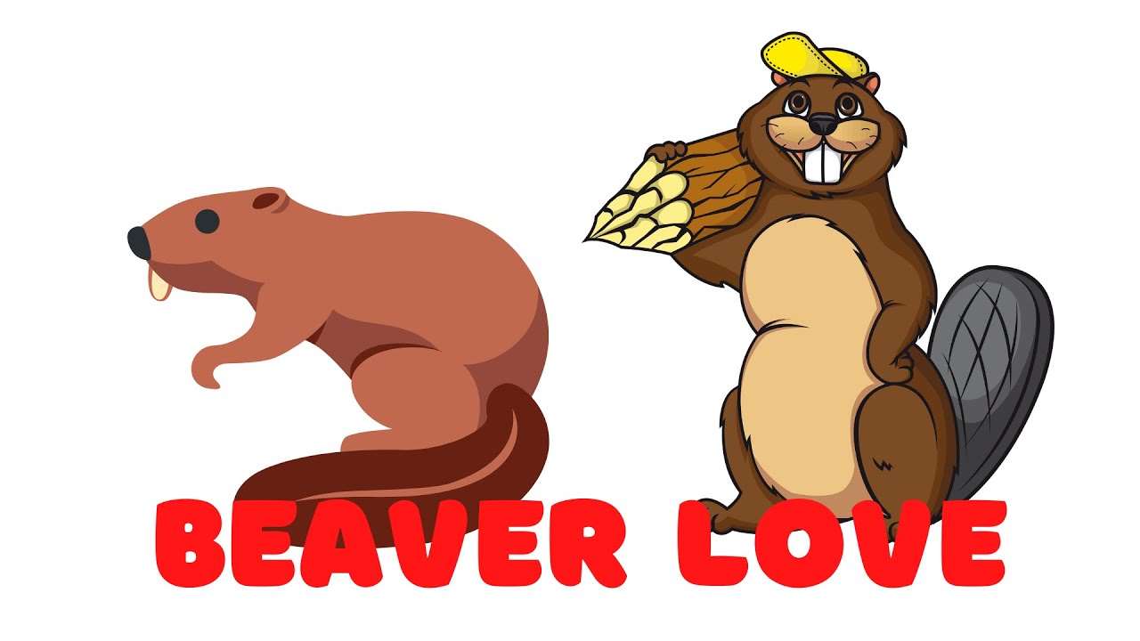 BEAVER LOVE - YouTube