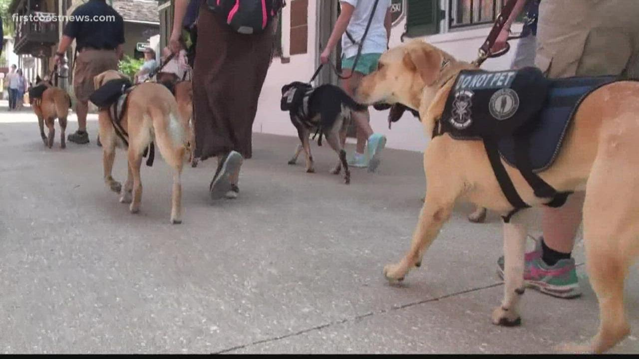 PAWS Act heads to President Biden's desk - YouTube