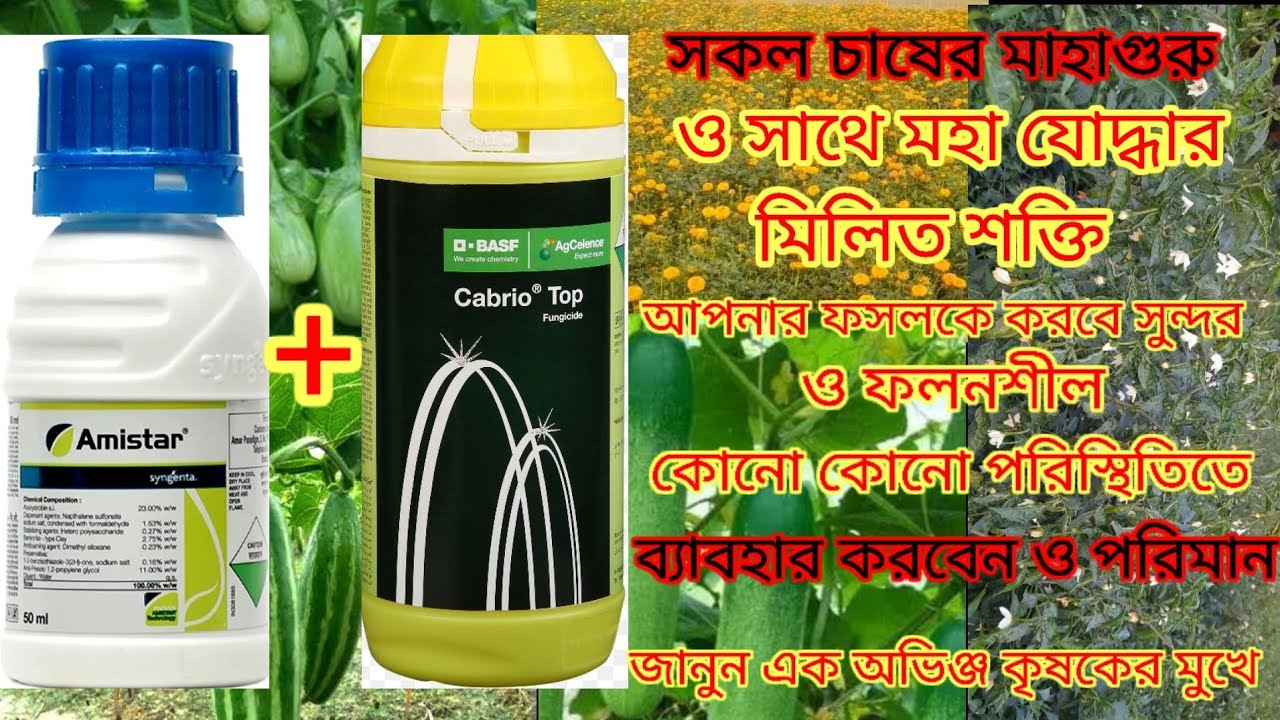 BASF cabrio top+syngenta amister এই দুই ফাঙ্গিসাইড এর মিক্সচার ঠান্ডায় ...