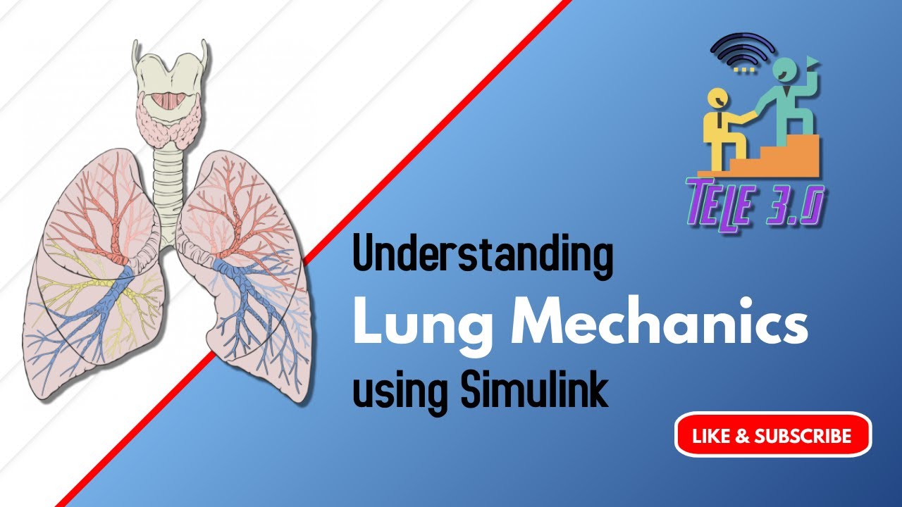 Lung Mechanics - Physiological Modelling - YouTube