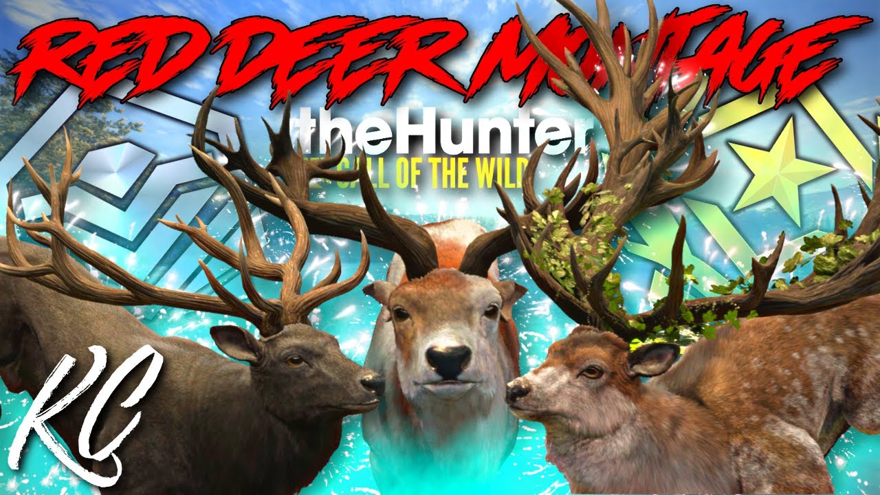 The Most EPIC Red Deer Montage on YouTube?! Great Ones, Super Rares ...