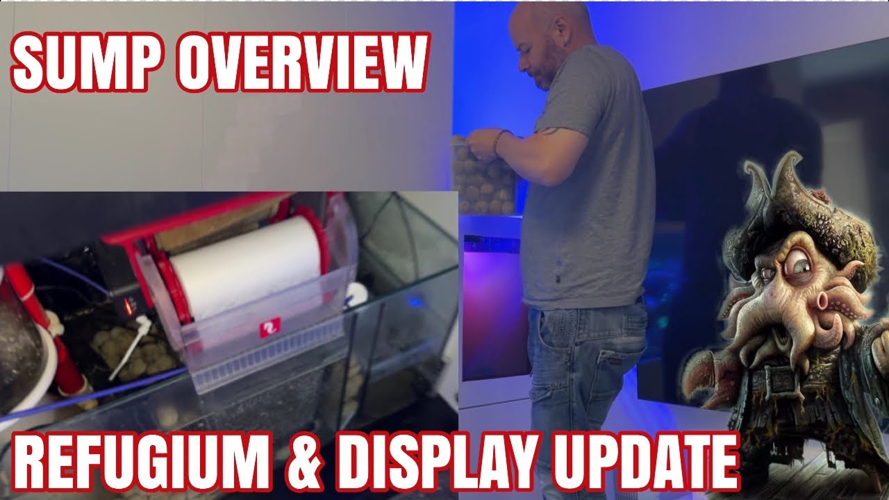 180 Gallon Reef Aquarium - Sump & Display Update - YouTube