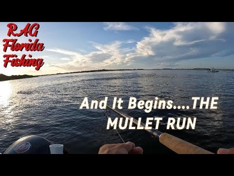 SOUTH FLORIDA MULLET RUN 2024!!!! PT 1 - YouTube