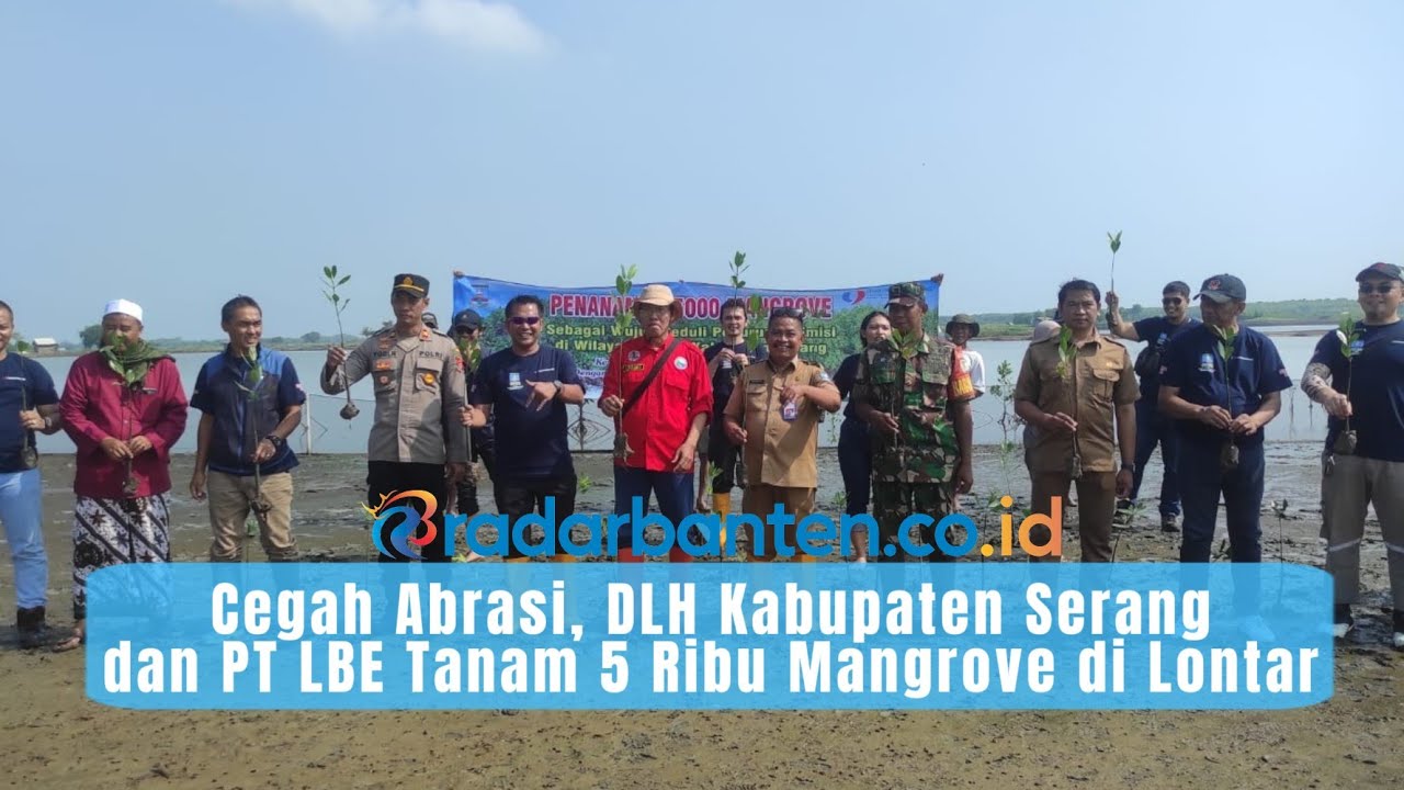 Cegah Abrasi, DLH Kabupaten Serang dan PT LBE Tanam 5 Ribu Mangrove di ...
