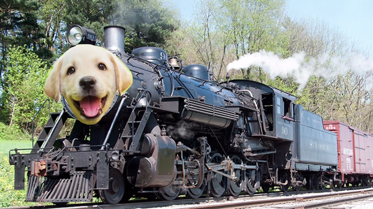 The puppy express whistle SFX - YouTube