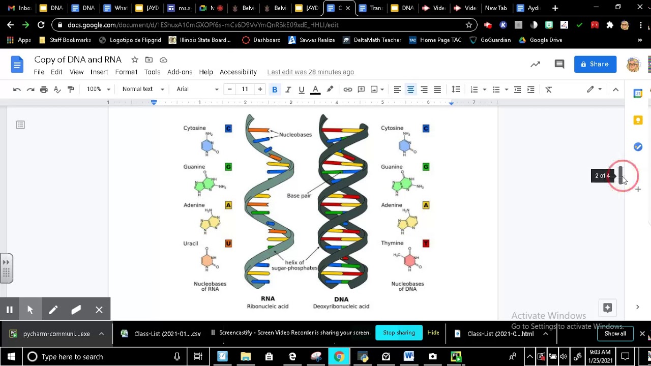 Biology-DNA - RNA Pairing Rules - YouTube