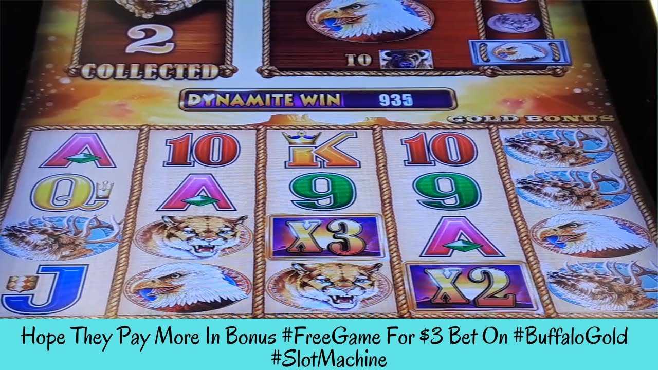 Hope They Pay More In Bonus Free Game For $3 Bet On BUFFALO GOLD Slot ...