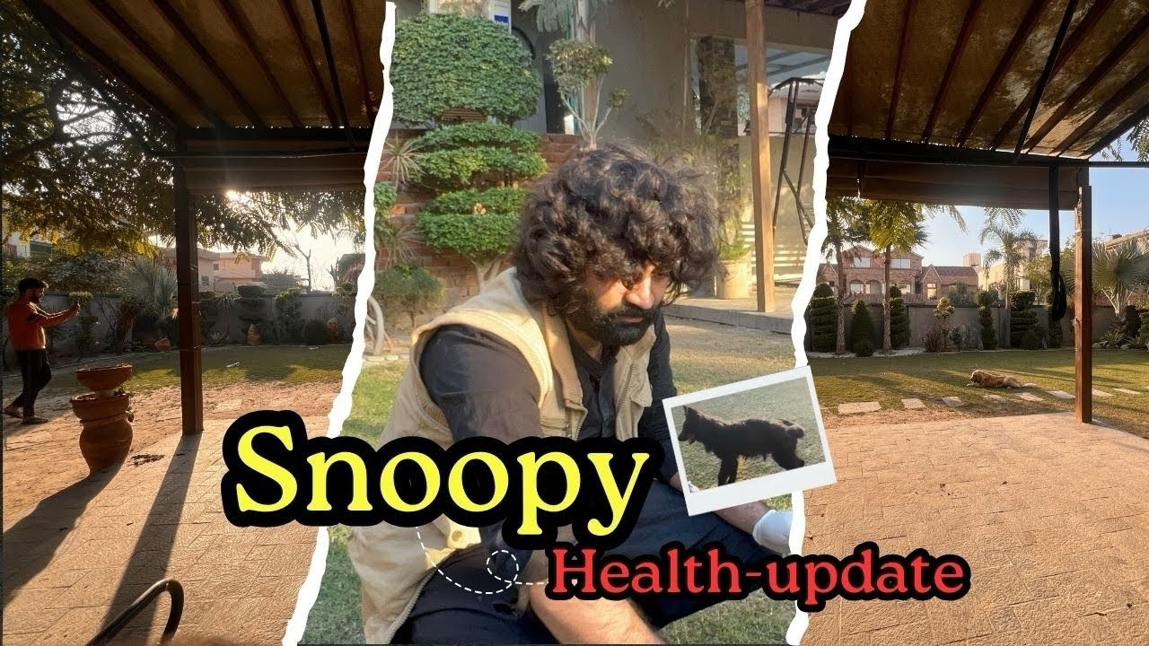 Treatment for my adopted dog | Snoopy health update - YouTube