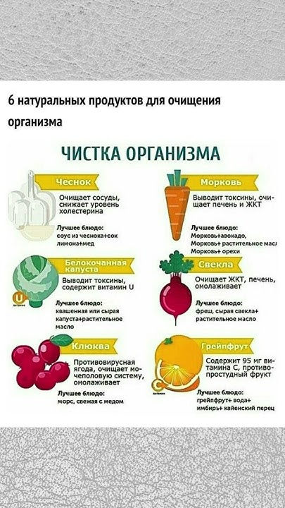 6 натуральных продуктов для очистки организма #натуральныепродукты # ...