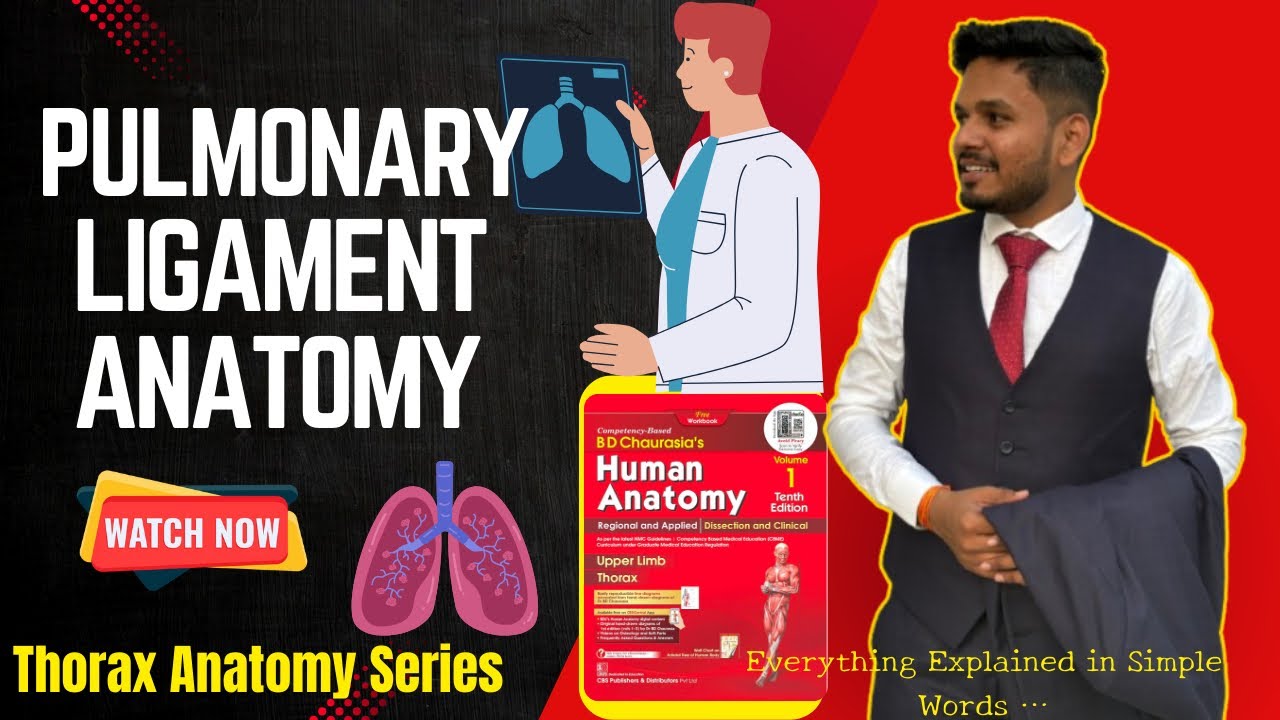 Pulmonary Ligament Anatomy🫁 | Thorax Anatomy Series📚 | Anatomy Series ...