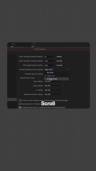 Smooth Scroll Timeline Playhead in Premiere Pro - YouTube