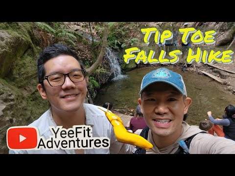 Tip Toe Falls Hike | Portola Redwoods State Park - YouTube