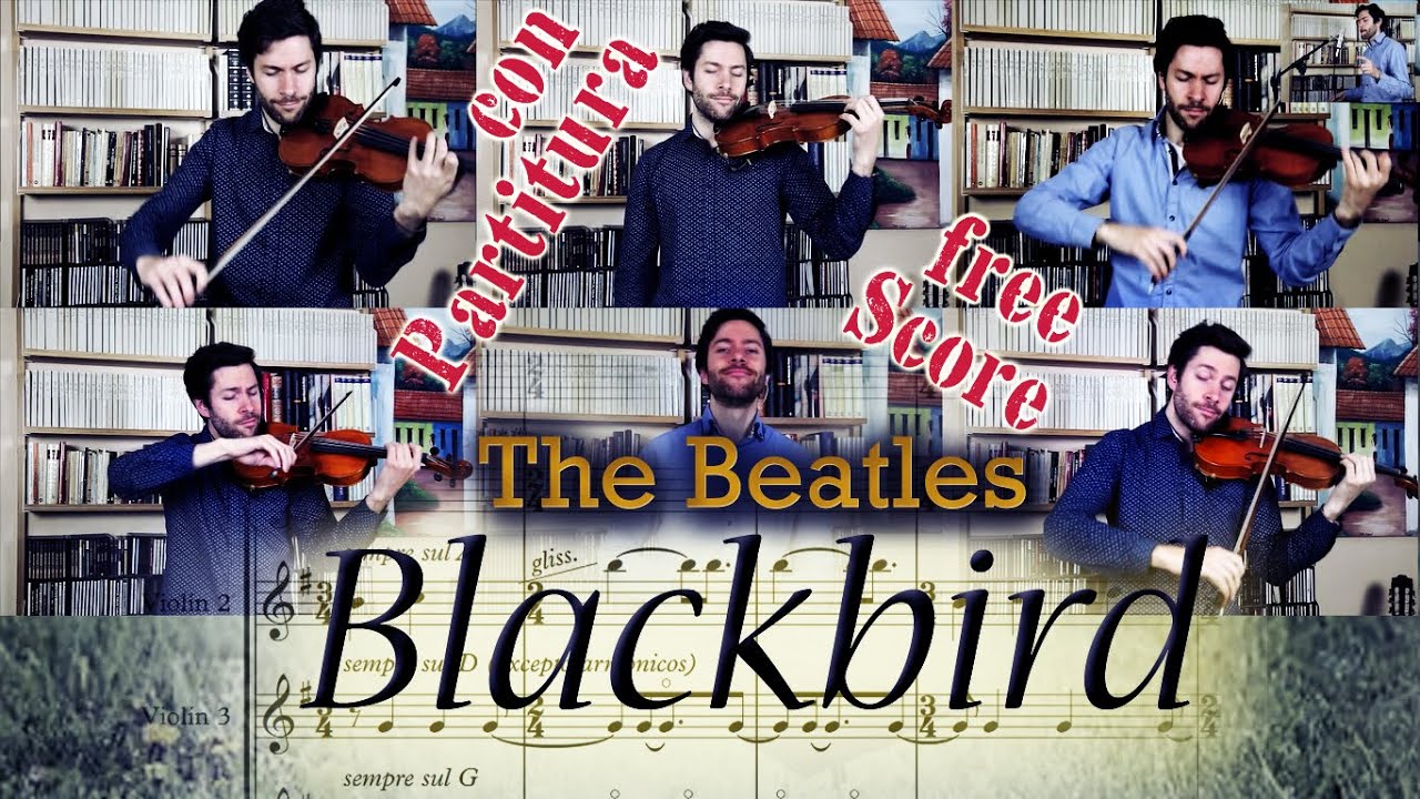 Blackbird violin sheet music - The Beatles - violin ensemble - Dedicado ...