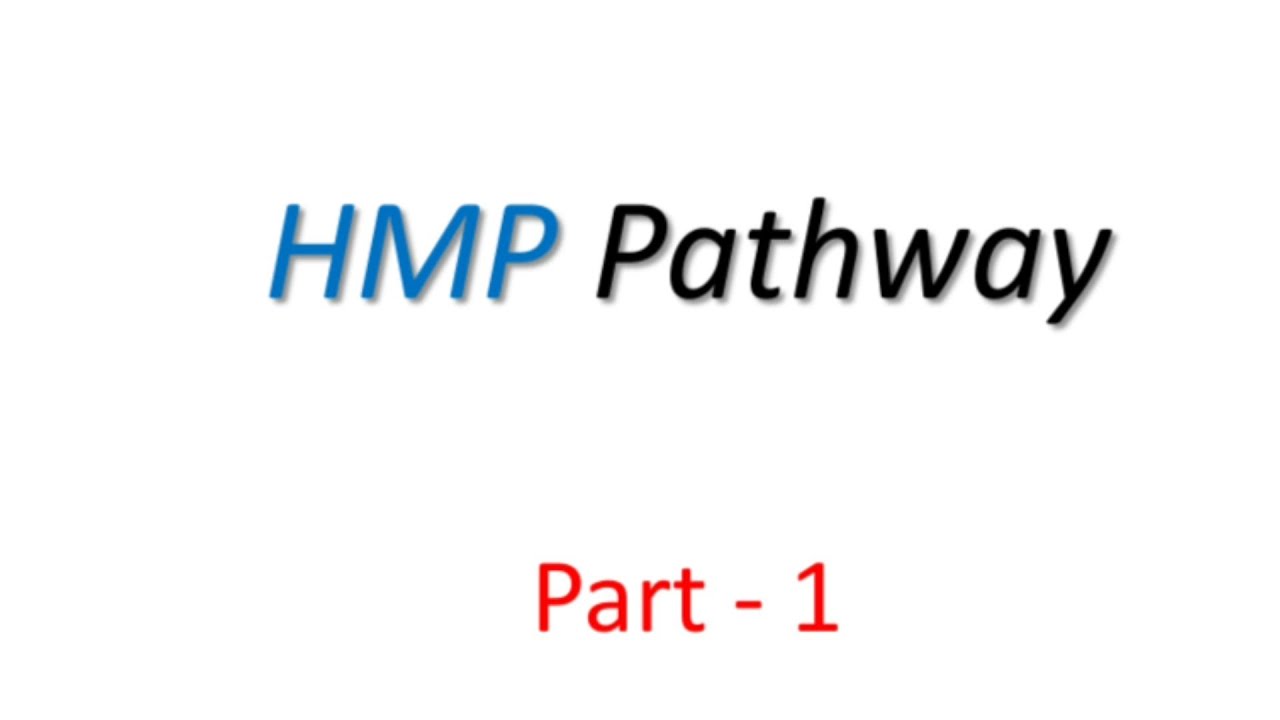Hexose Monophosphate Pathway (HMP) I Pentose Phosphate Pathway Part-1 ...