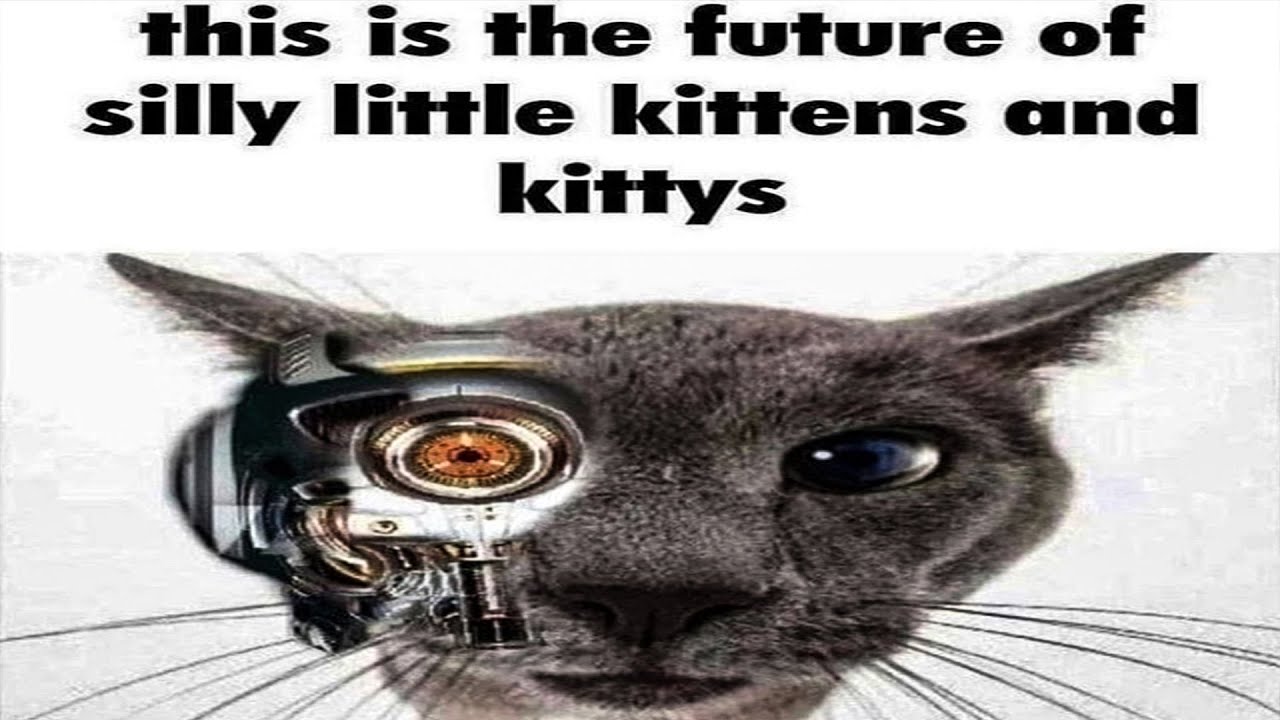 Cursed Side Of Internet V35 - YouTube