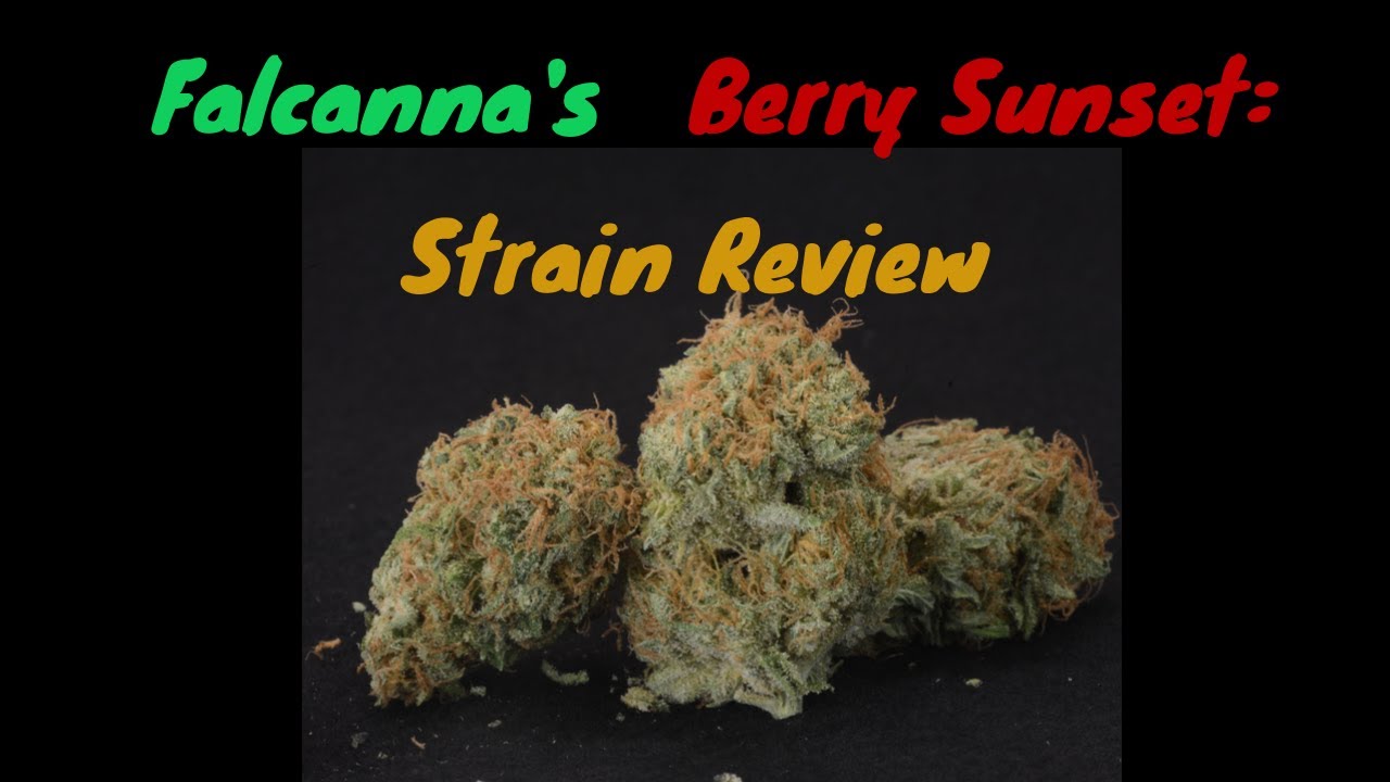 Berry Sunset - YouTube