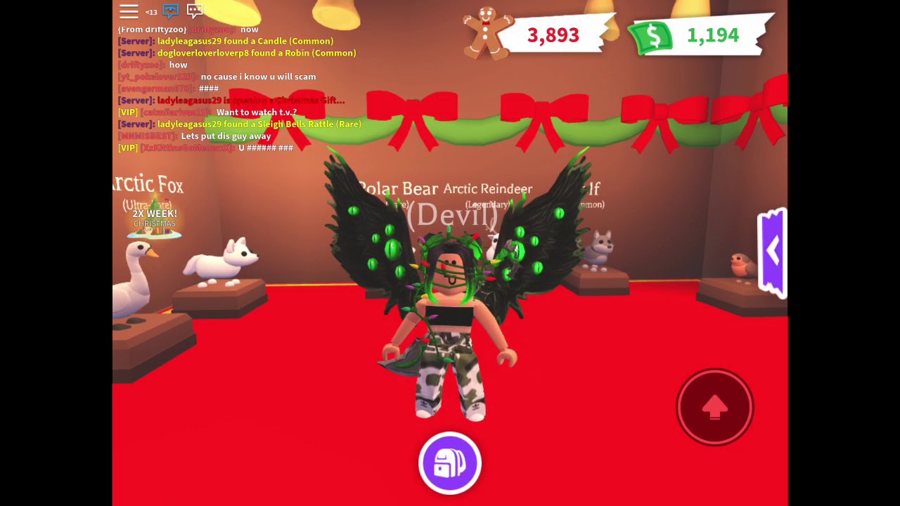 I Got The NEW Elf Shrew!!! 😵 - YouTube