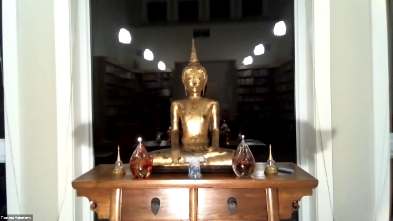 Ajahn Viradhammo Dhamma Zoom 21 Nov 2020 - YouTube