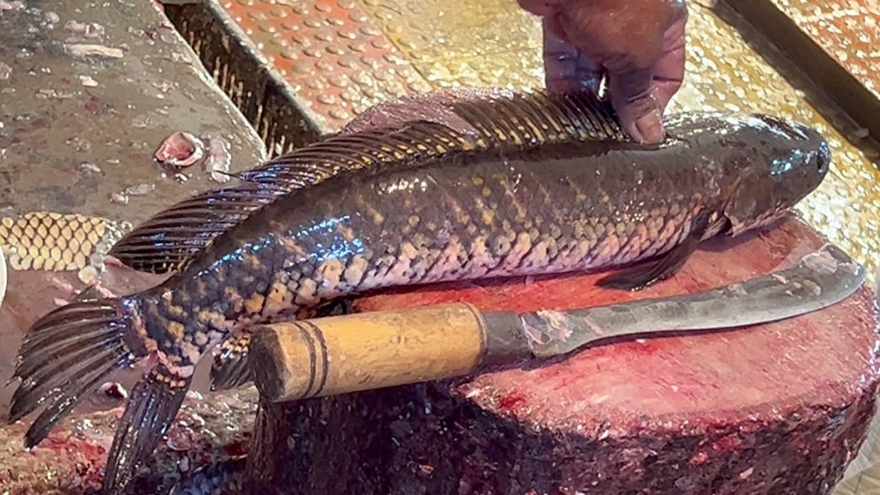 Amazing Sola Fish & Carp Fish Cutting By Expert Fish Cutter | Fastest ...