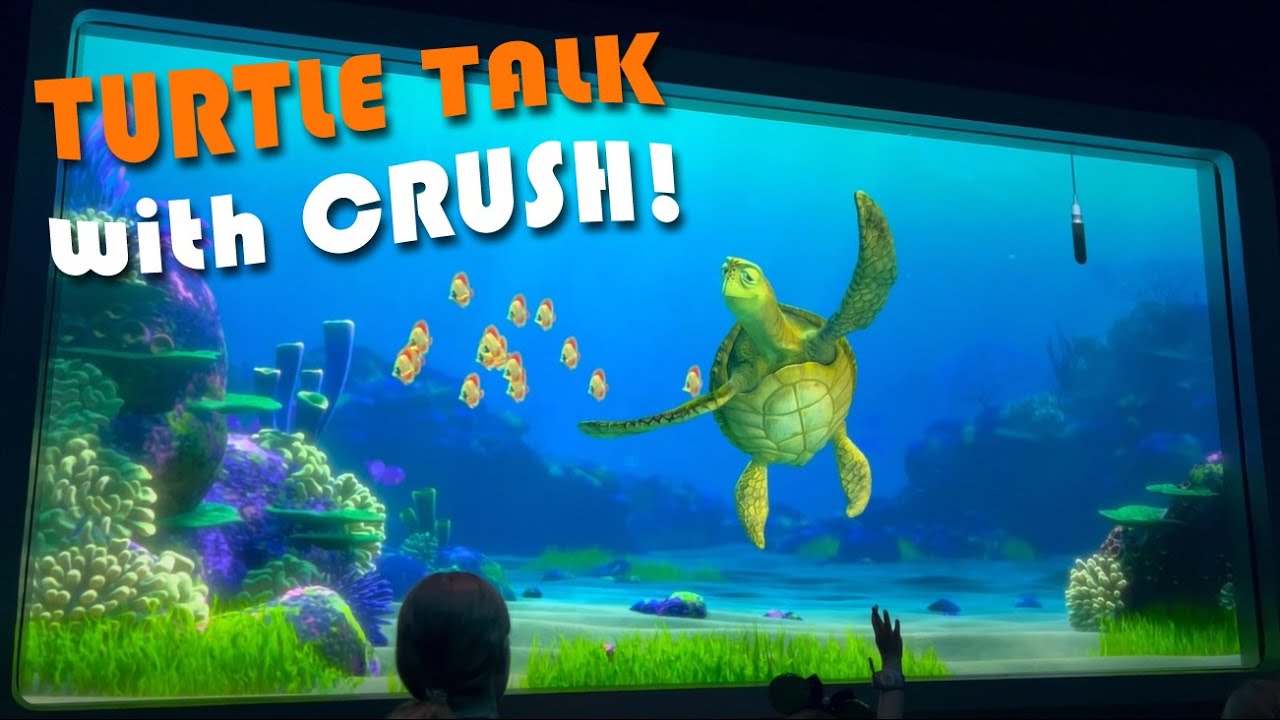 Turtle Talk with Crush at EPCOT (FULL SHOW) - YouTube