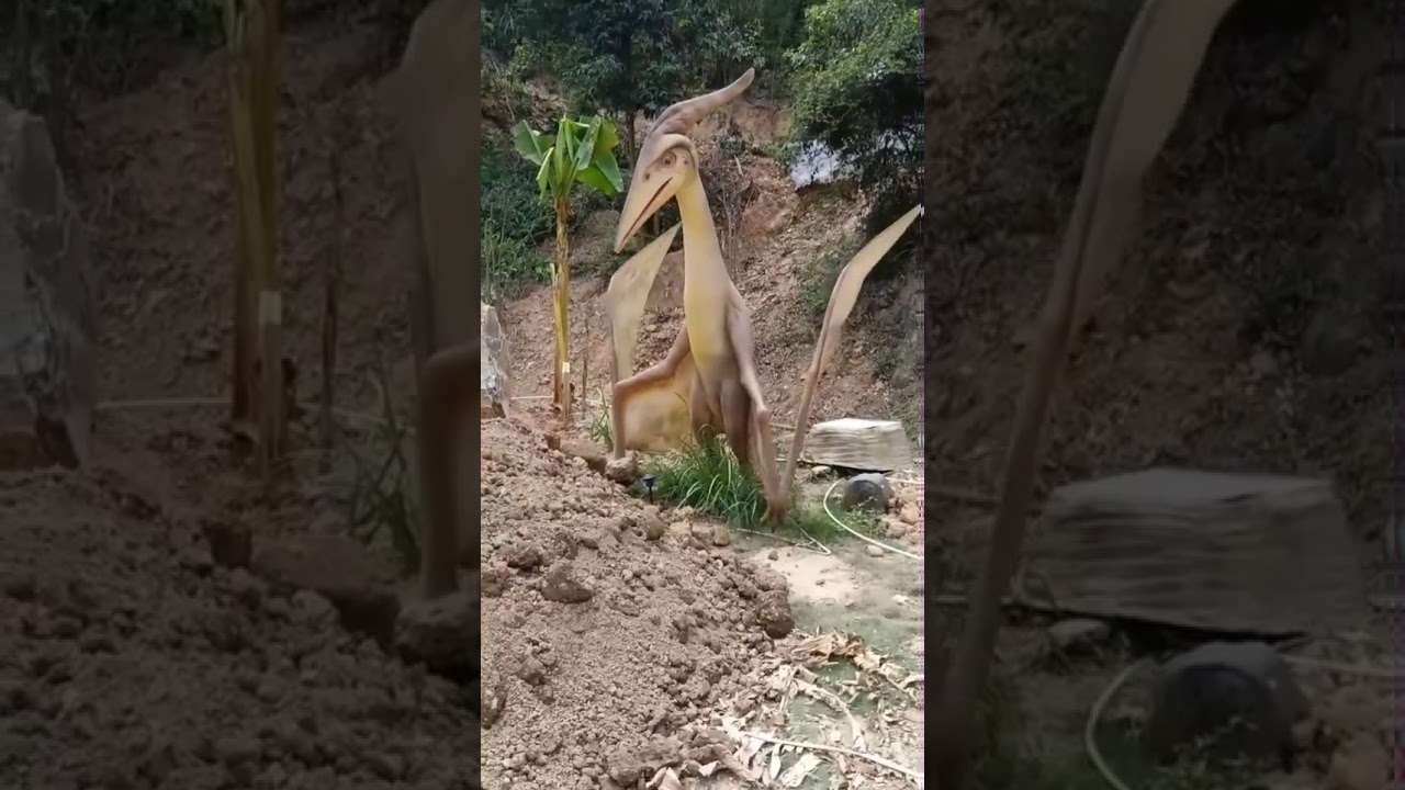 Con gì day - YouTube