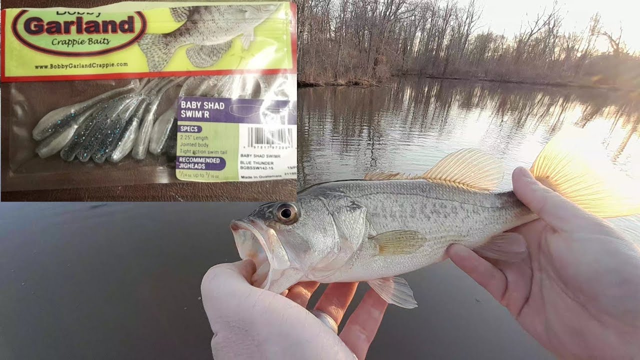 Lure Review!!!(Bobby Garland Baby Shad Swim'R) +Bonus Goose Attack! 😂 ...