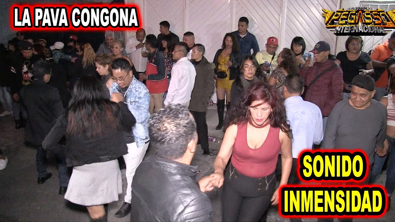 LA PAVA CONGONA, SONIDO INMENSIDAD *** - YouTube