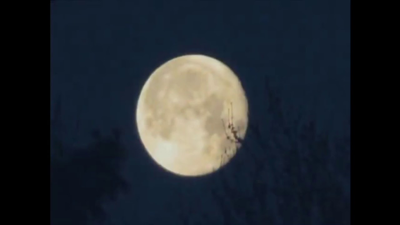 Eric Dubay | Proof 131 - 140 | 200Proofs | Flat Earth - YouTube