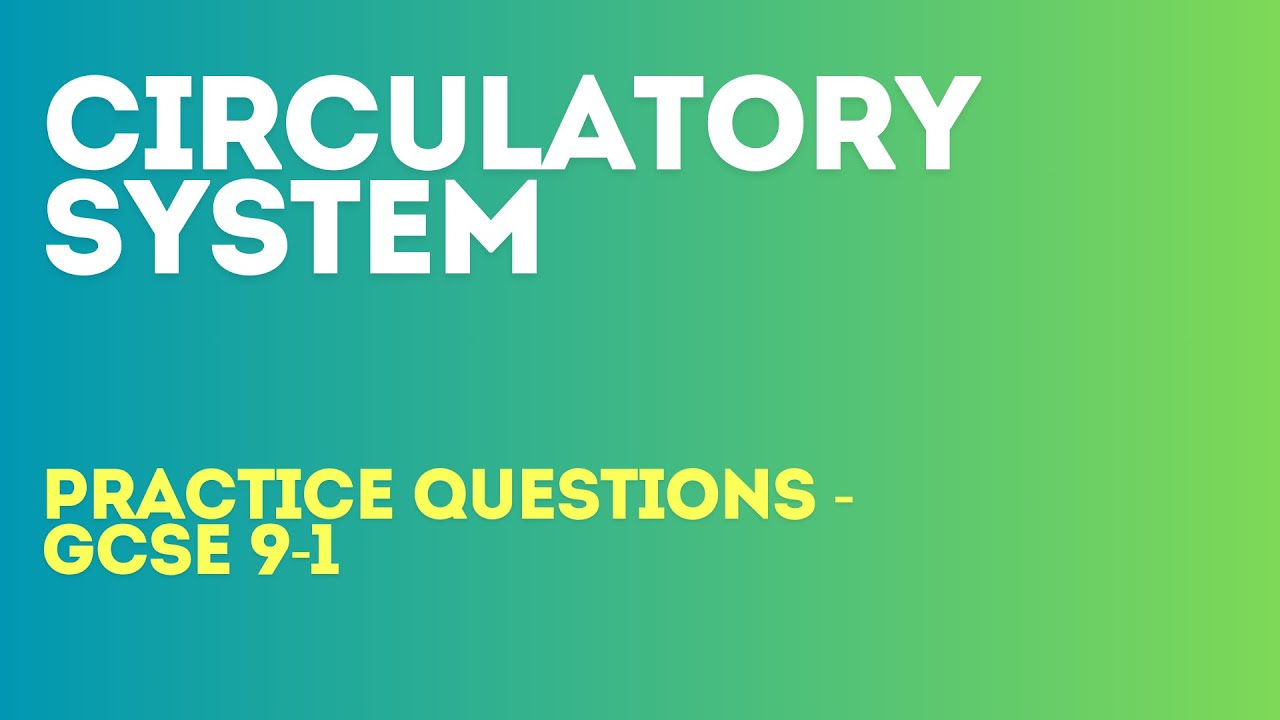 Circulatory System: Practice Questions (GCSE 9-1) - YouTube
