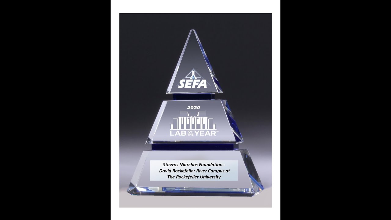 2020 RVA SEFA Lab of the Year Presentation - YouTube