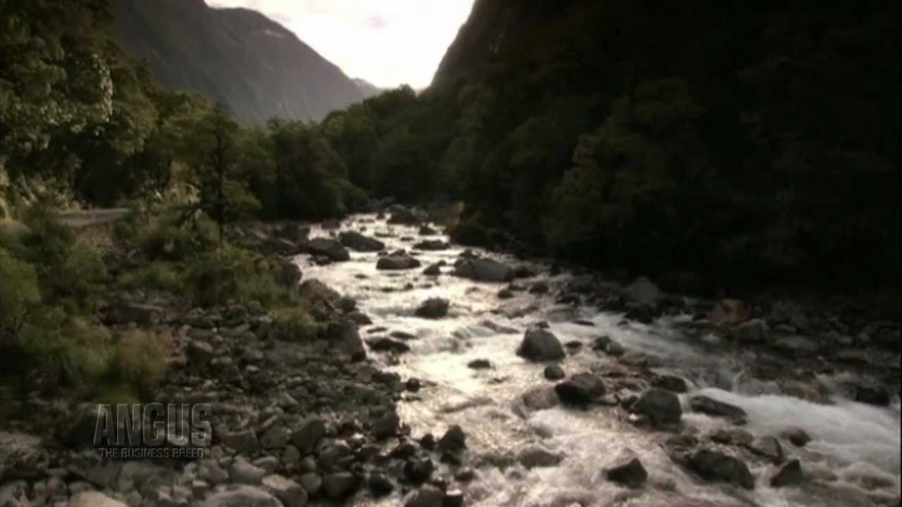 The Angus Report, Jan. 21, 2013: Practical Applications - YouTube