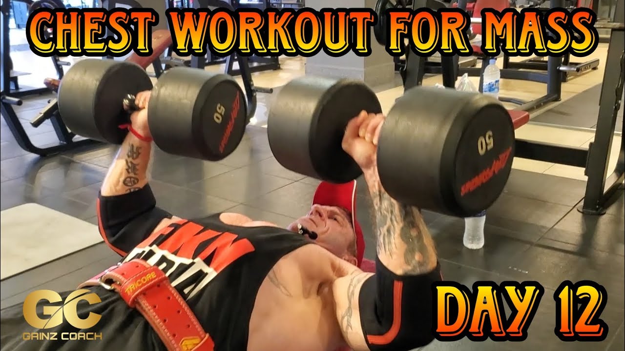 Low Volume High Intensity Training - Day #12 - Chest Workout For MASS ...