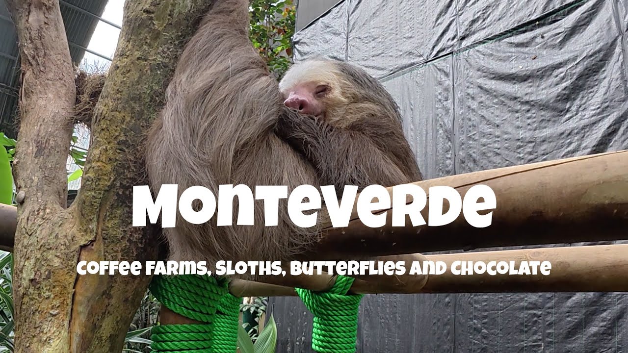 MonteVerde 2025 Costa Rica with the family - YouTube