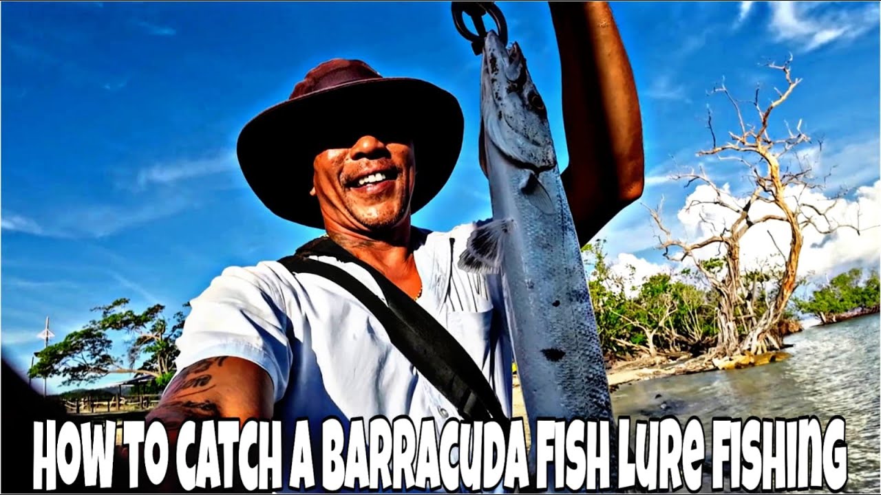 How to catch a Barracuda fish Lure fishing - YouTube