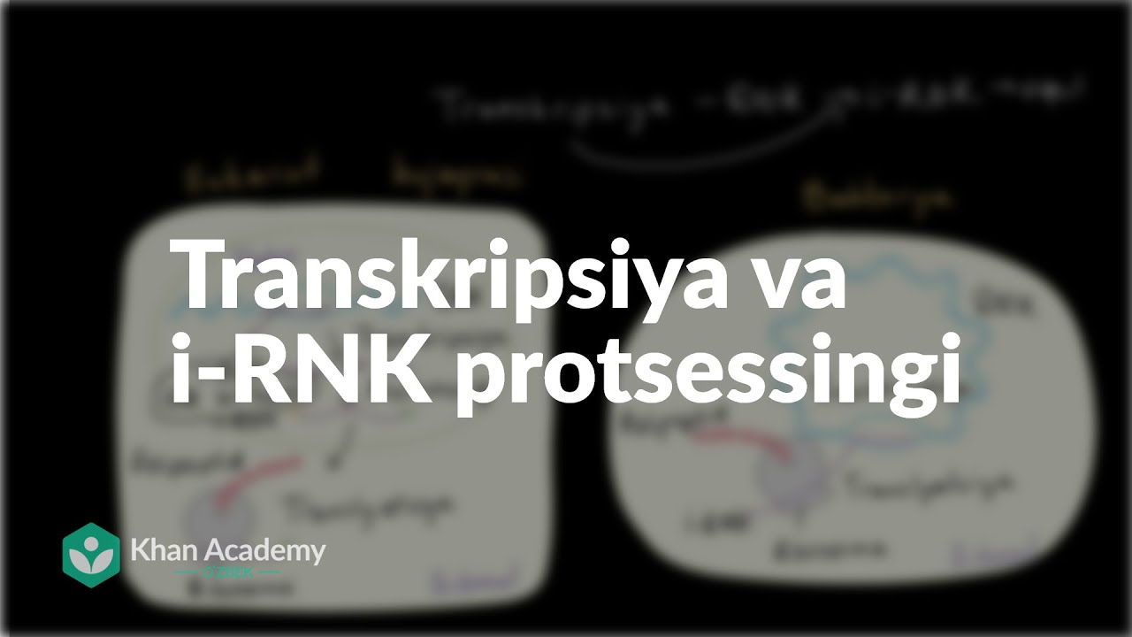 Transkripsiya va i-RNK protsessingi | Biologiya - YouTube