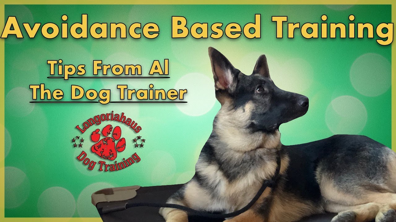 Avoidance Based Training- Tips from Al the Dog Trainer - YouTube