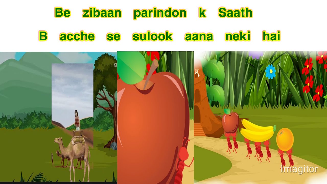 Be zibaan parindon ko madad Karna neki hai | cartoon | Bushra Vlogs ...