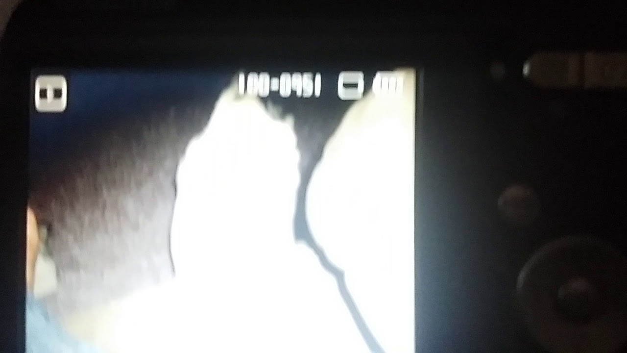 My New Camera (Samsung SL40) - YouTube