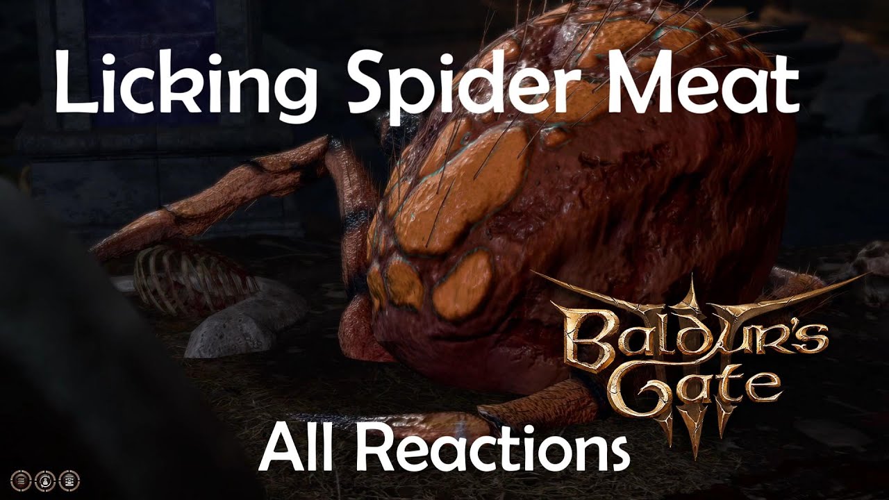 BG3 | Licking Spider Meat | All Reactions (Shadowheart, Astarion ...